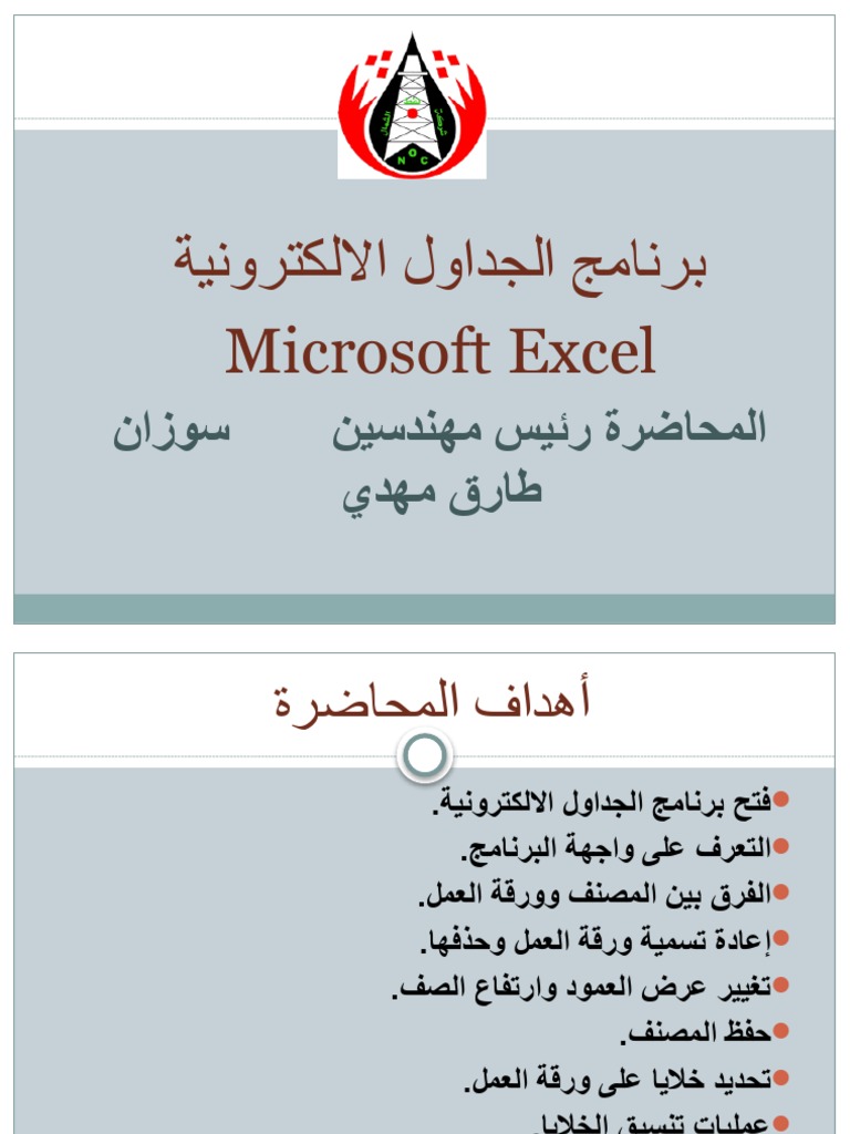Excel 2010-1 | PDF