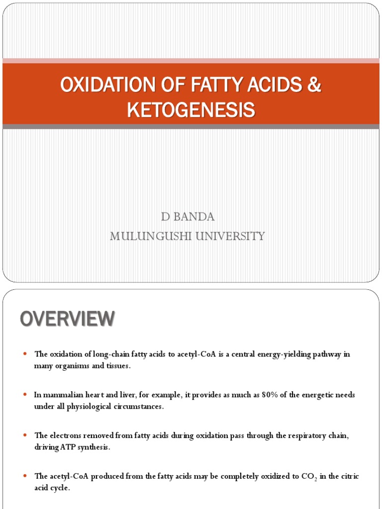 CHE 311 Lecture 10 - Oxidation of Fatty Acids and Ketogenesis | PDF ... CHE 311 Lecture 10 - Oxidation of Fatty Acids and Ketogenesis | PDF ...