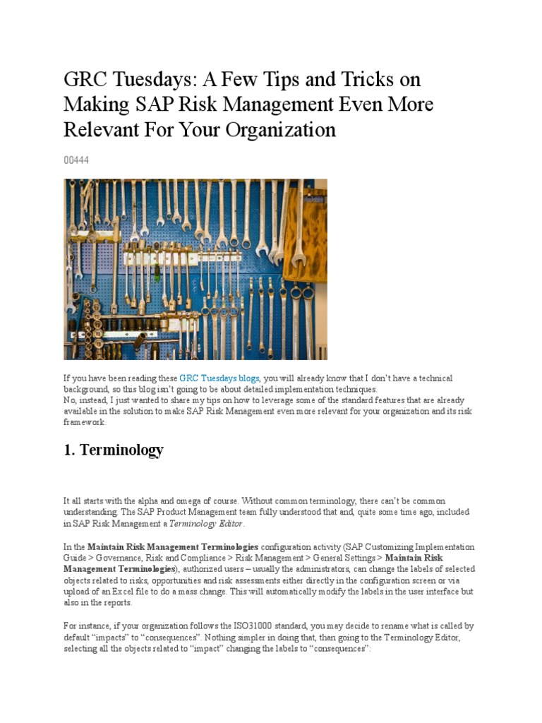 Leveraging Standard Features in SAP Risk Management to Make it More ...