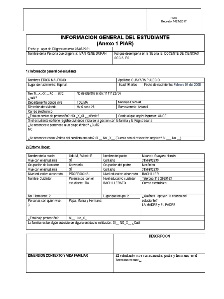 Formato Piar Erick | PDF