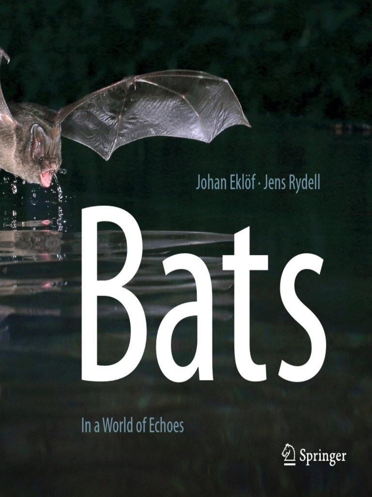 Bats | PDF | Bat | Mammals