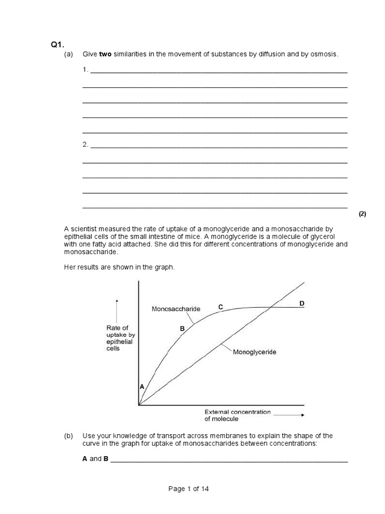 Extra Qs and MS Cell Transport | PDF | Cell Membrane | Cell (Biology)