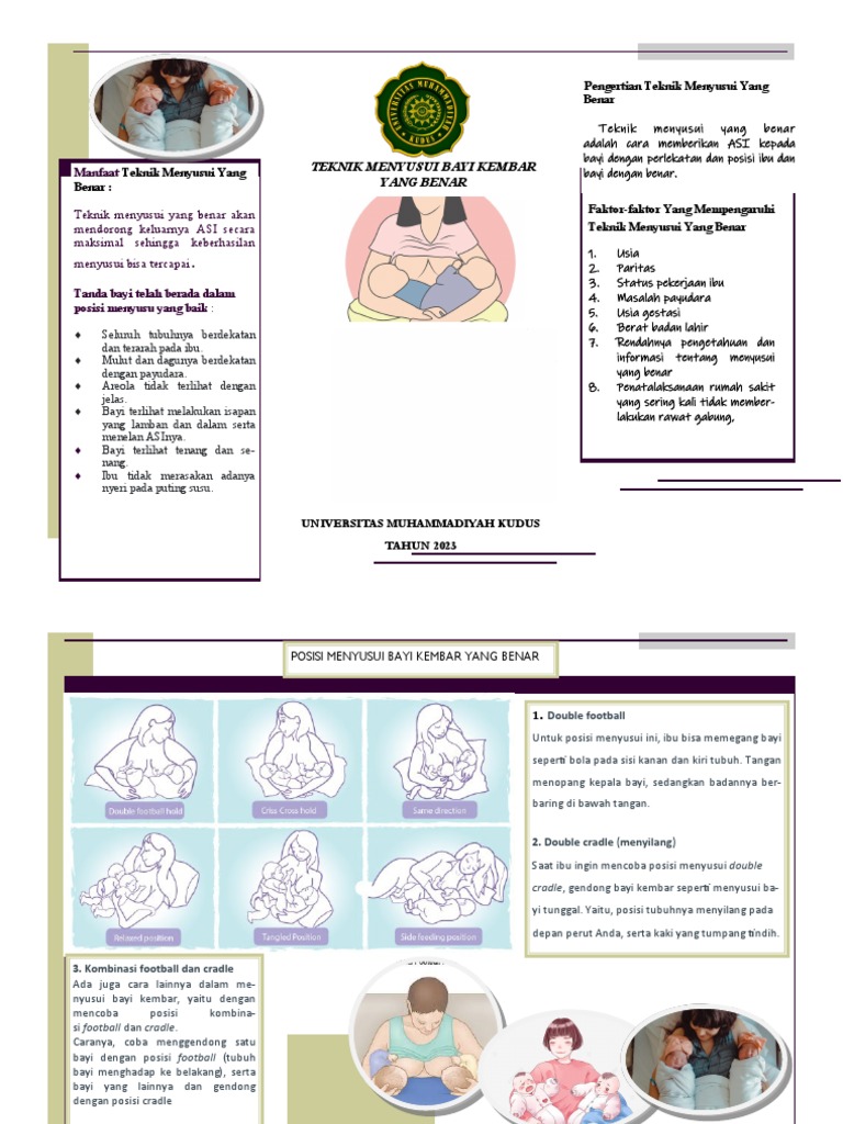 Cara Menyusui Bayi Kembar | PDF