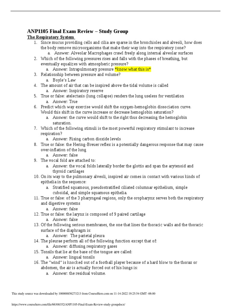 ANP1105 Respiratory System Review | PDF | Respiratory Tract | Lung