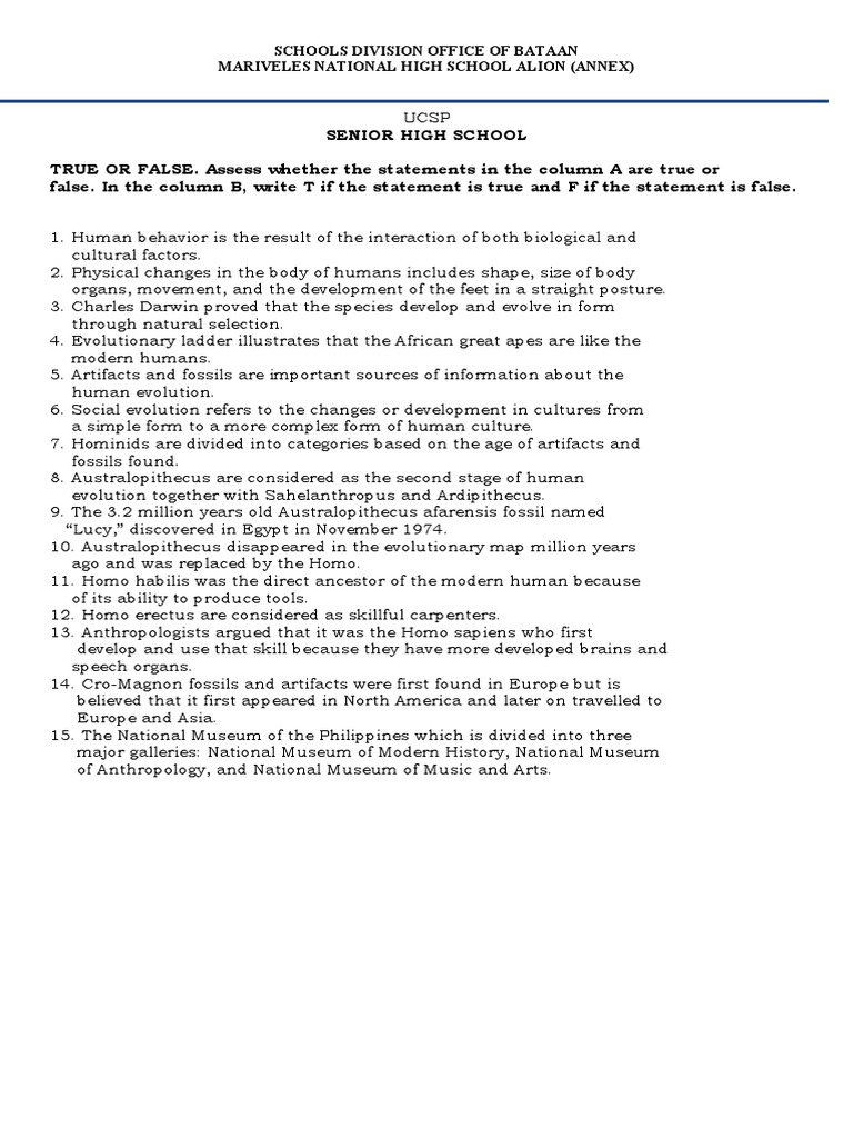 Stages of Human Evolution Assessment | PDF | Homo | Human Evolution