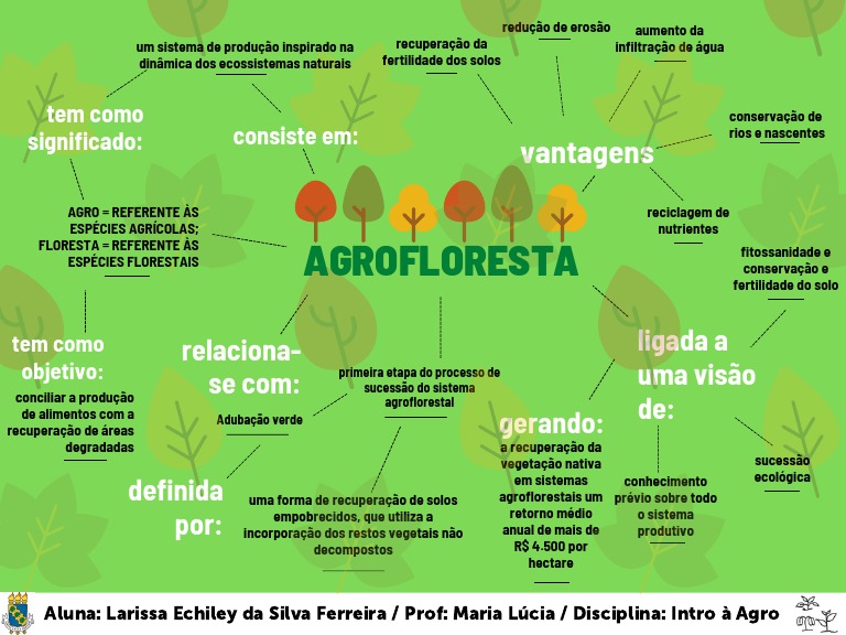 Mapa Conceitual - Agrofloresta | PDF | Desenvolvimento sustentável | Tecnologia ambiental