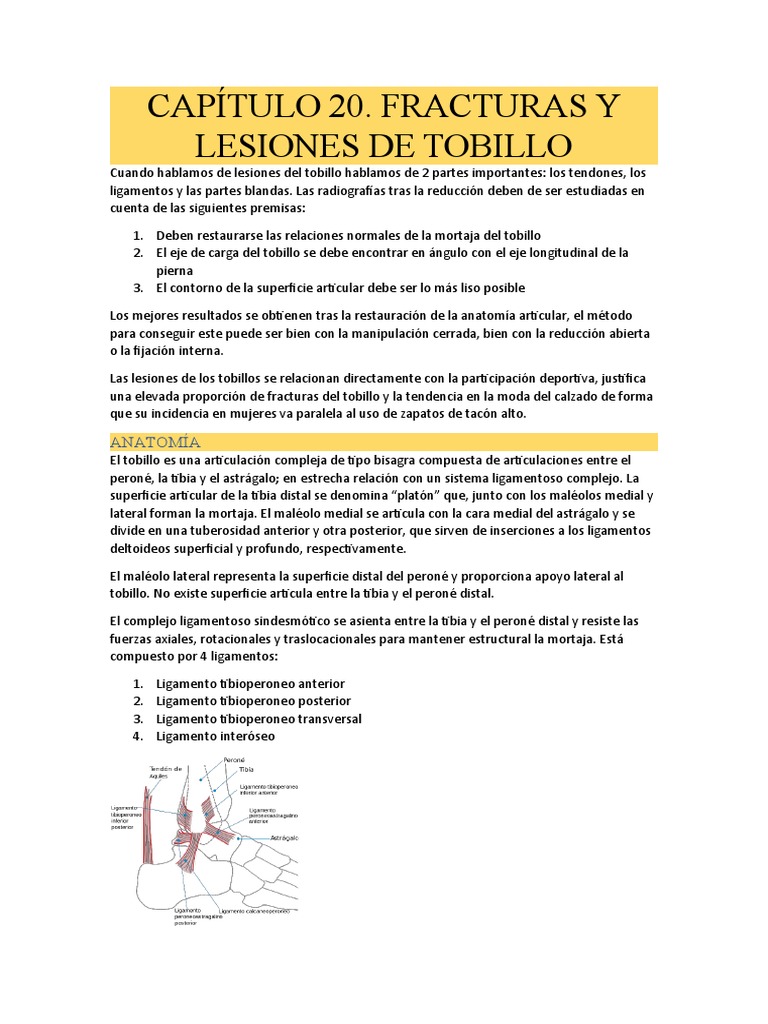 Lesiones de Tobillo | PDF | Tobillo | Sistema musculoesquelético