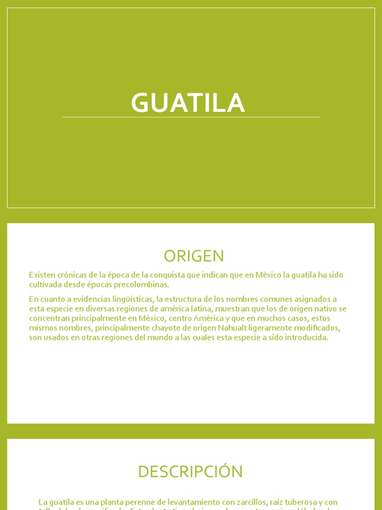 Guatila | PDF