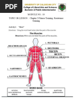 Printable Muscle Labeling Worksheet | PDF | Joints | Soft Tissue