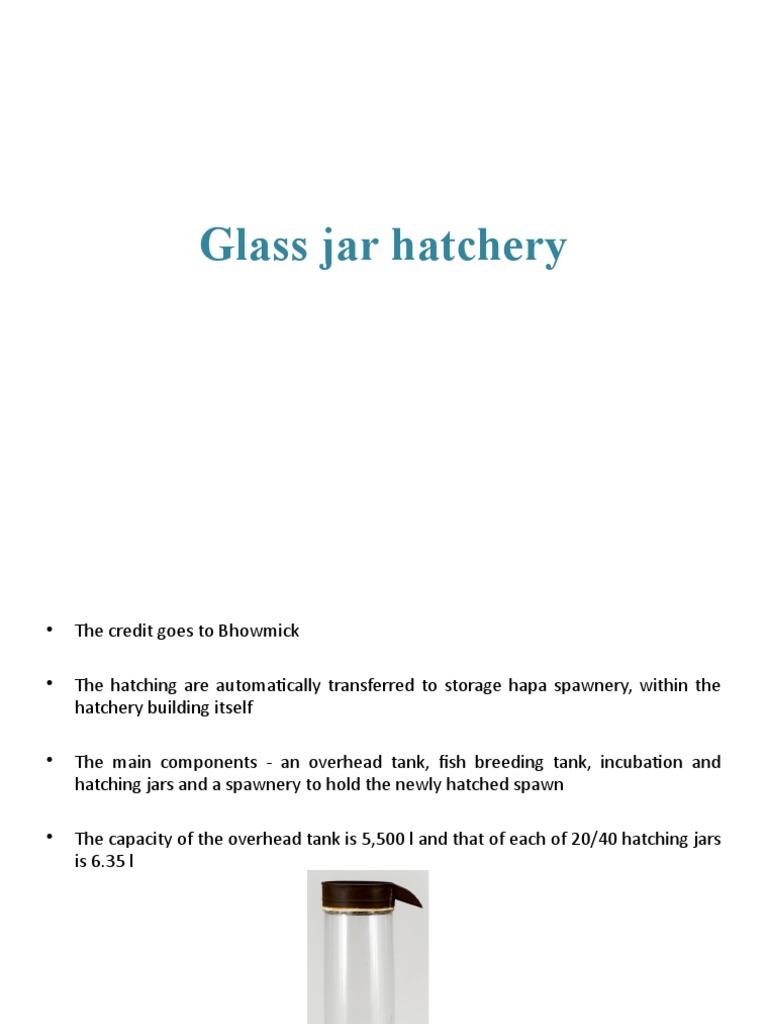 Glass Jar Hatchery Overview | PDF
