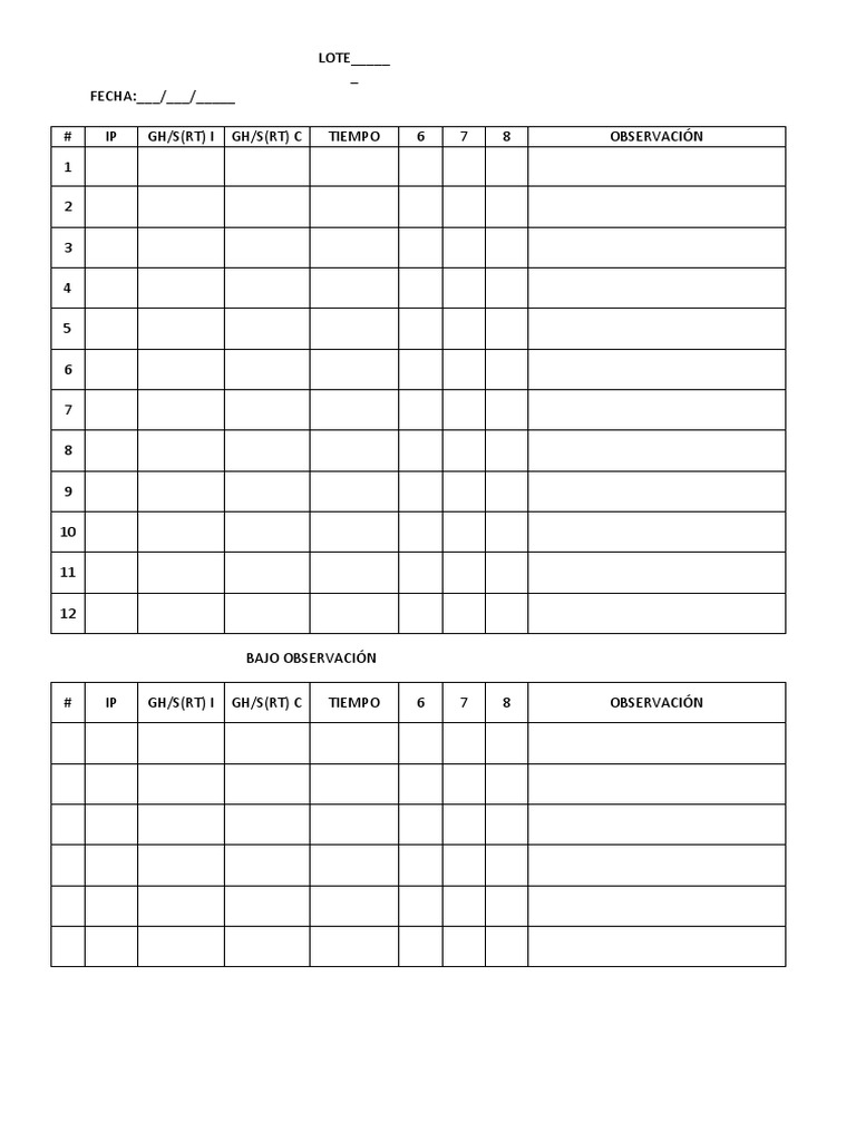 Plantilla LOTE | PDF