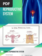 Human Reproductive System Cut and Stick | PDF | Reproductive System ...