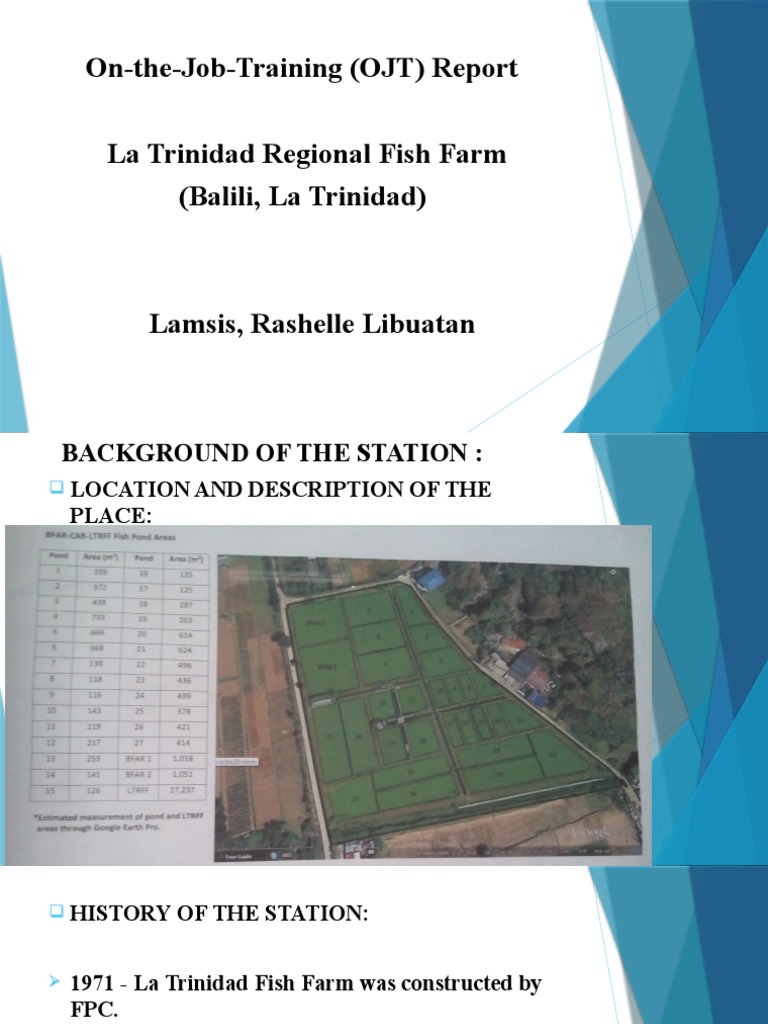 Loach Production and Management Report | PDF | Fish | Spawn (Biology)