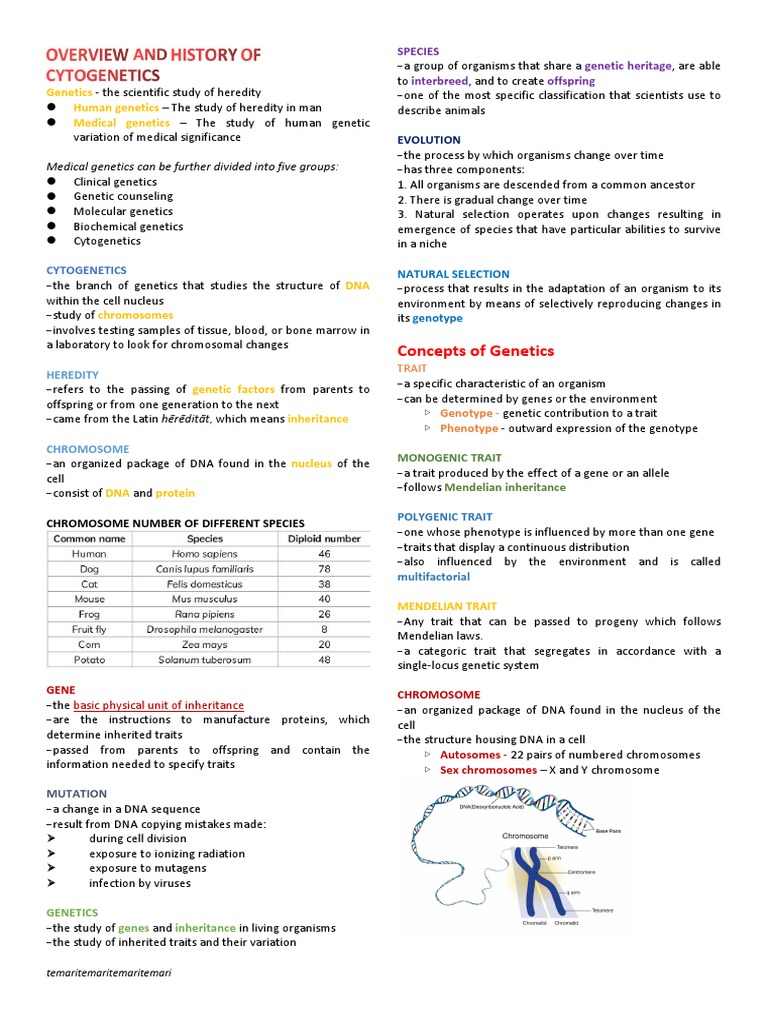 OVERVIEW AND HISTORY OF CYTOGENETICS Transes | PDF | Genetics | Gene
