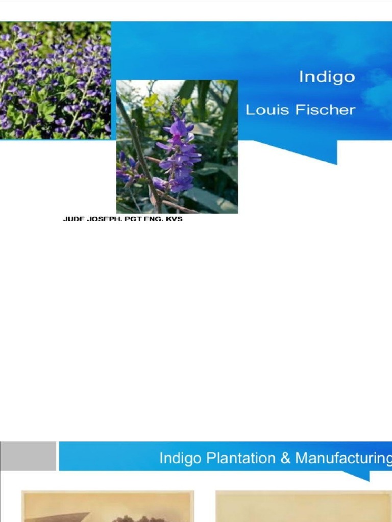 Indigo | PDF