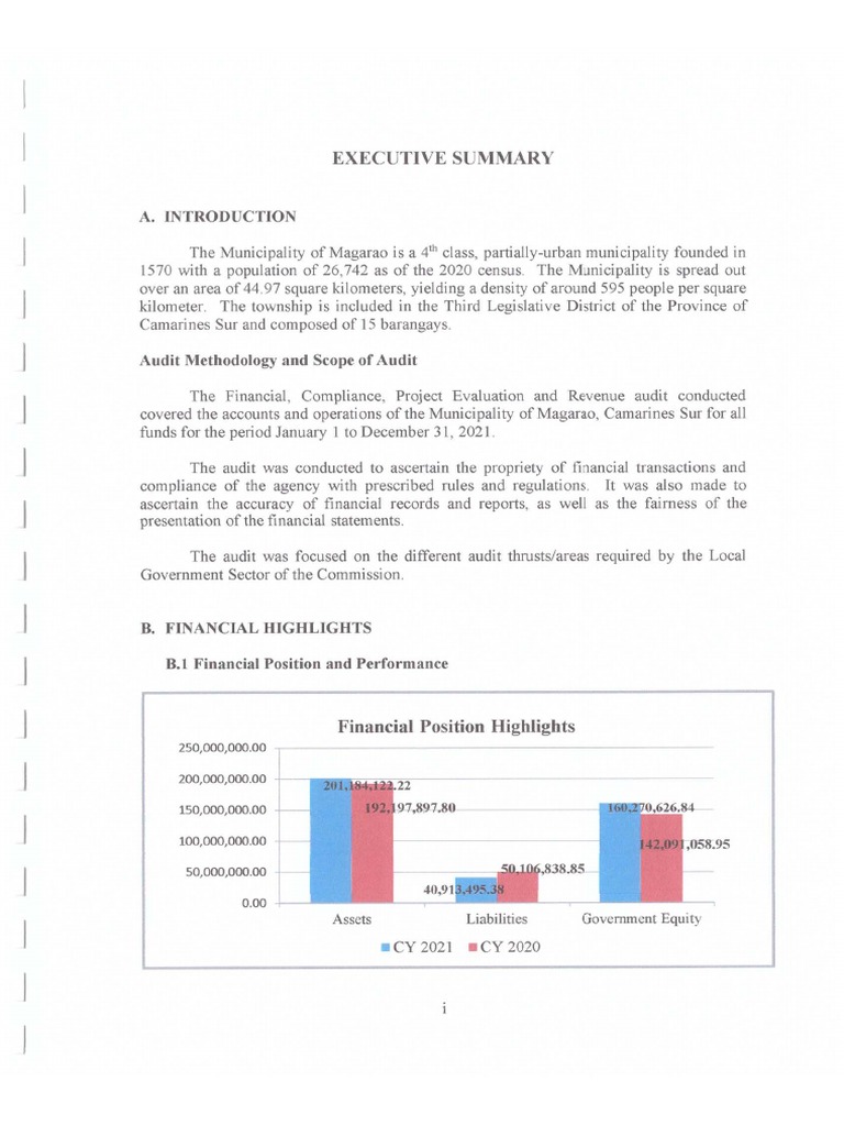 Magarao Executive Summary 2021 | PDF