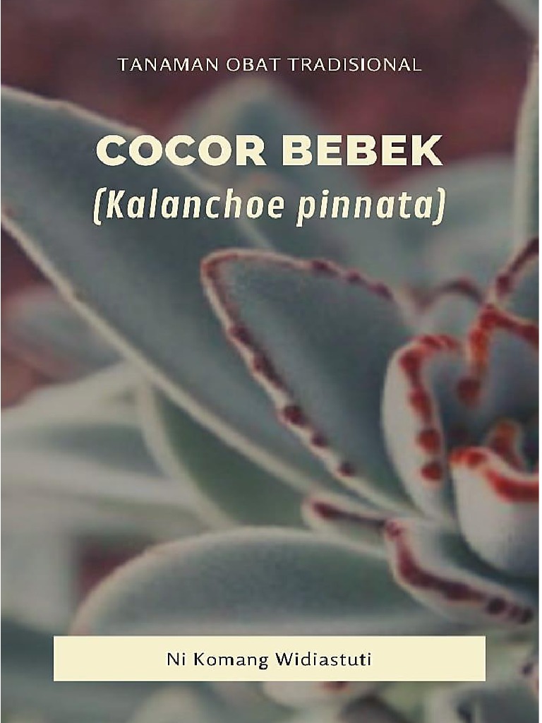 Buku - Cocor Bebek | PDF