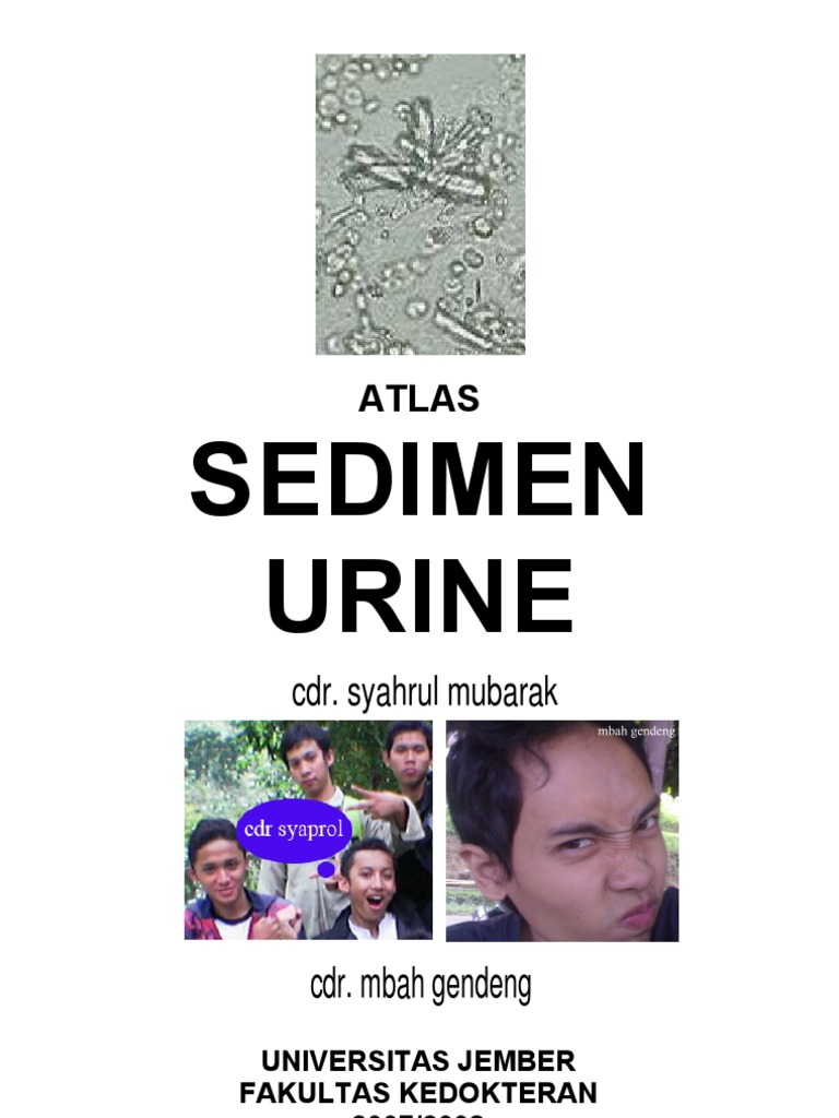Atlas Sedimen Urine | PDF