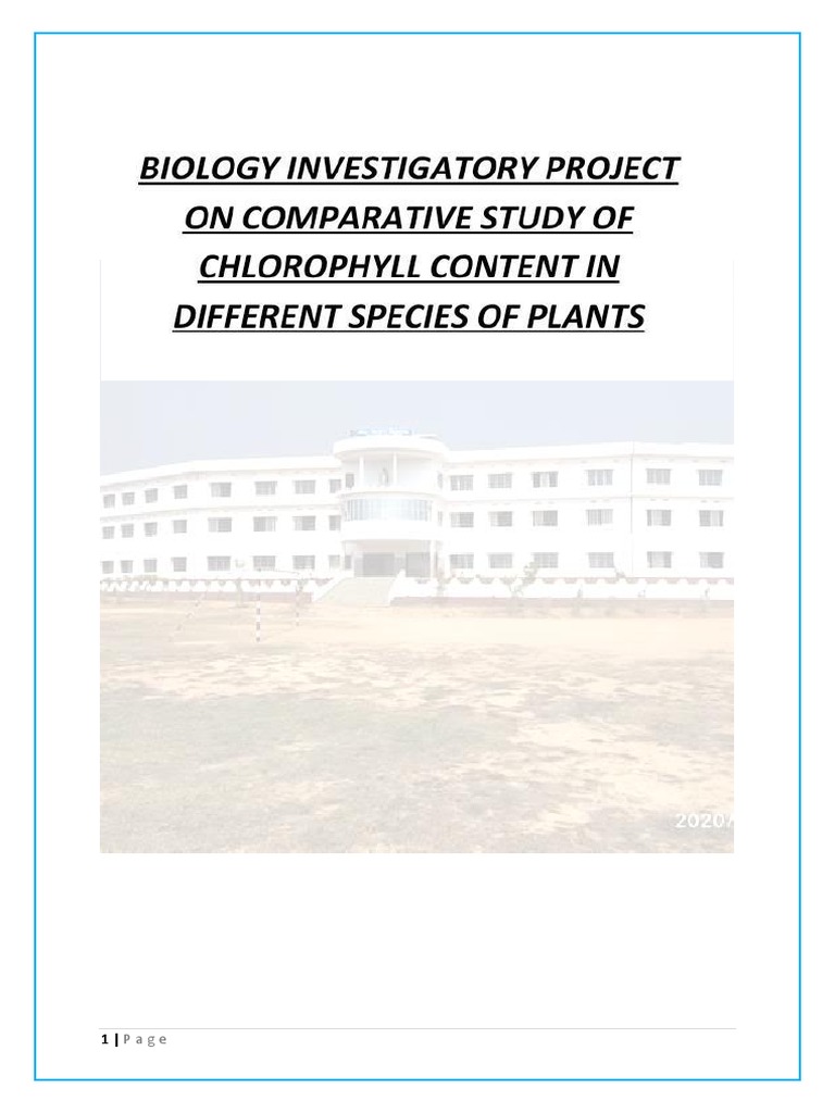 Cbse Bio | PDF | Chlorophyll | Photosynthesis