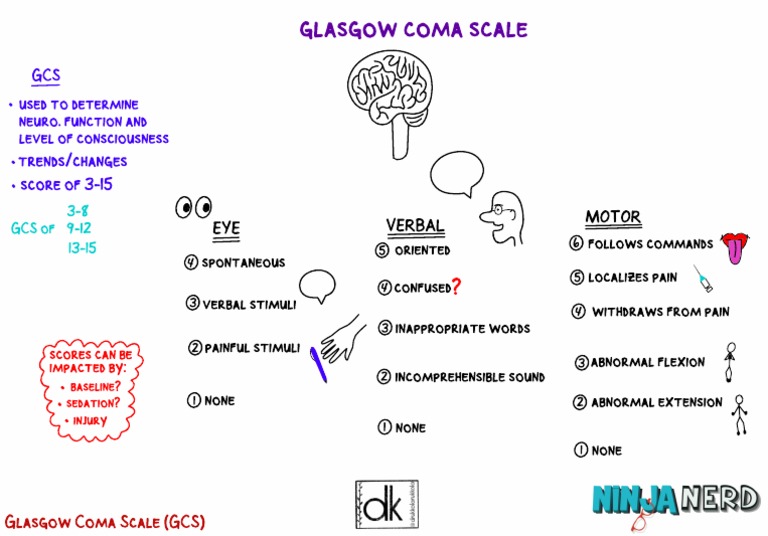 1000.1 Nursing) Glasgow Coma Scale (GCS) - Handout | PDF