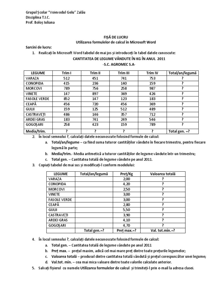 Fisa de Lucru Utilizarea Formulelor de Calcul | PDF