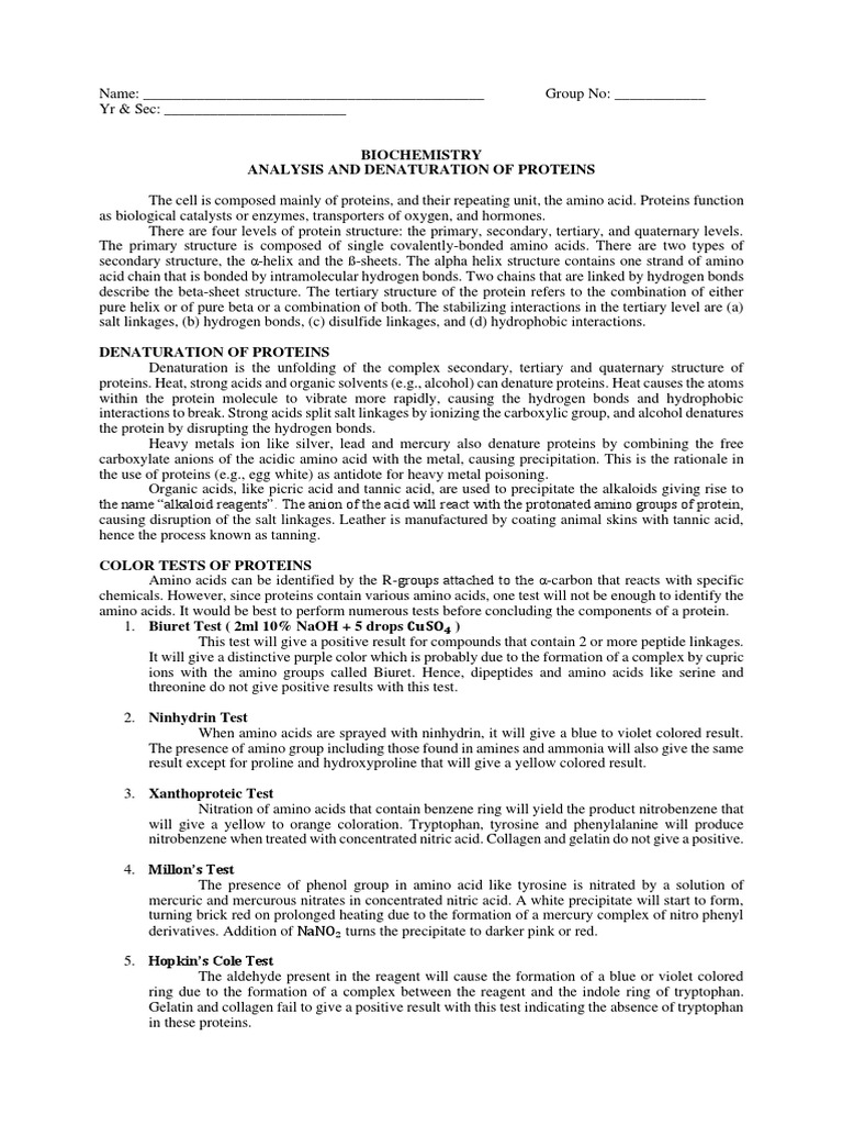 ANALYSIS AND DENATURATION OF PROTEINS Answers | PDF | Denaturation (Biochemistry ...