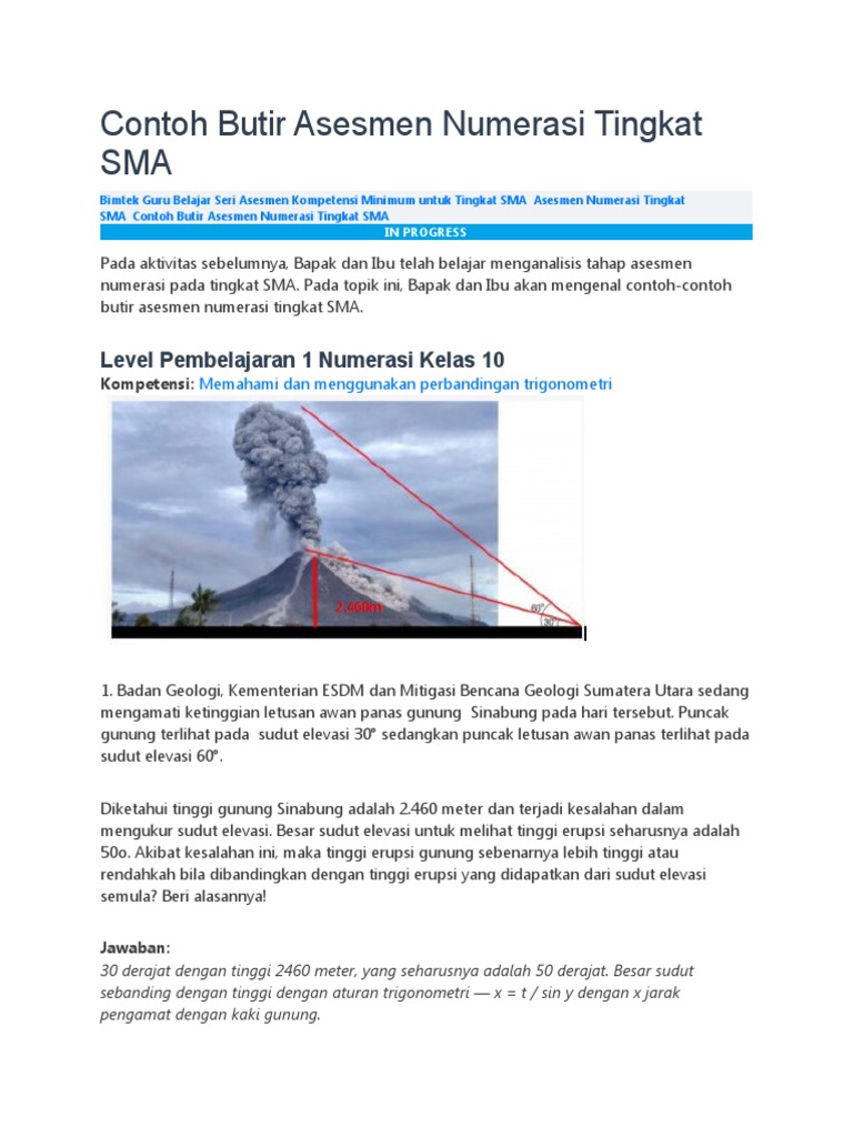 Contoh Butir Asesmen Numerasi Tingkat SMA | PDF