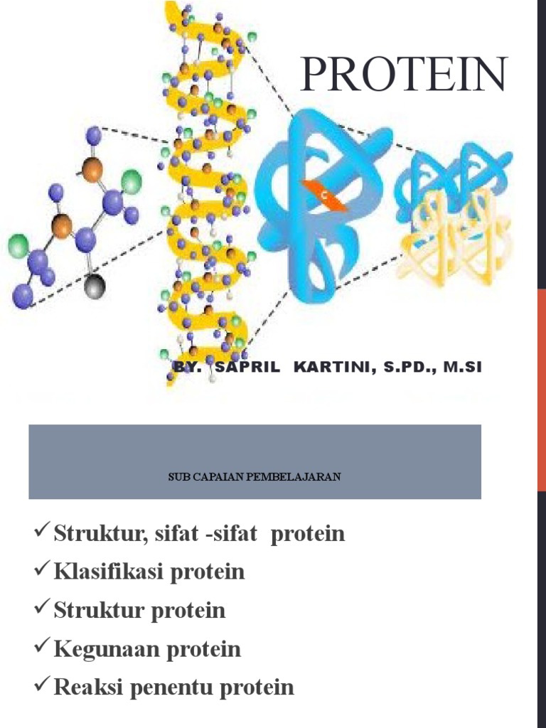 Struktur dan Fungsi Protein | PDF