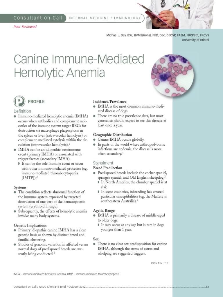 Canine Immune-Mediated Hemolytic Anemia - 0 | PDF | Tissue (Biology) | Immunology