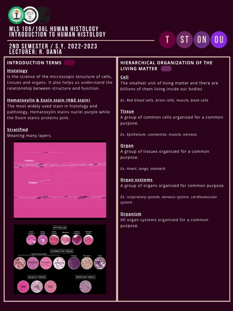 Human Histology Notes #1 (Introduction) | PDF