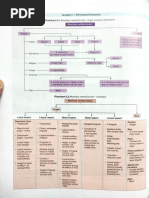 Types and Functions of Tooth Embrasures | PDF