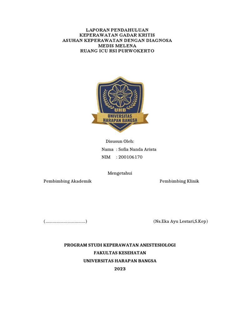 LP Melena | PDF | Pengembangan Diri | Kesehatan Holistik