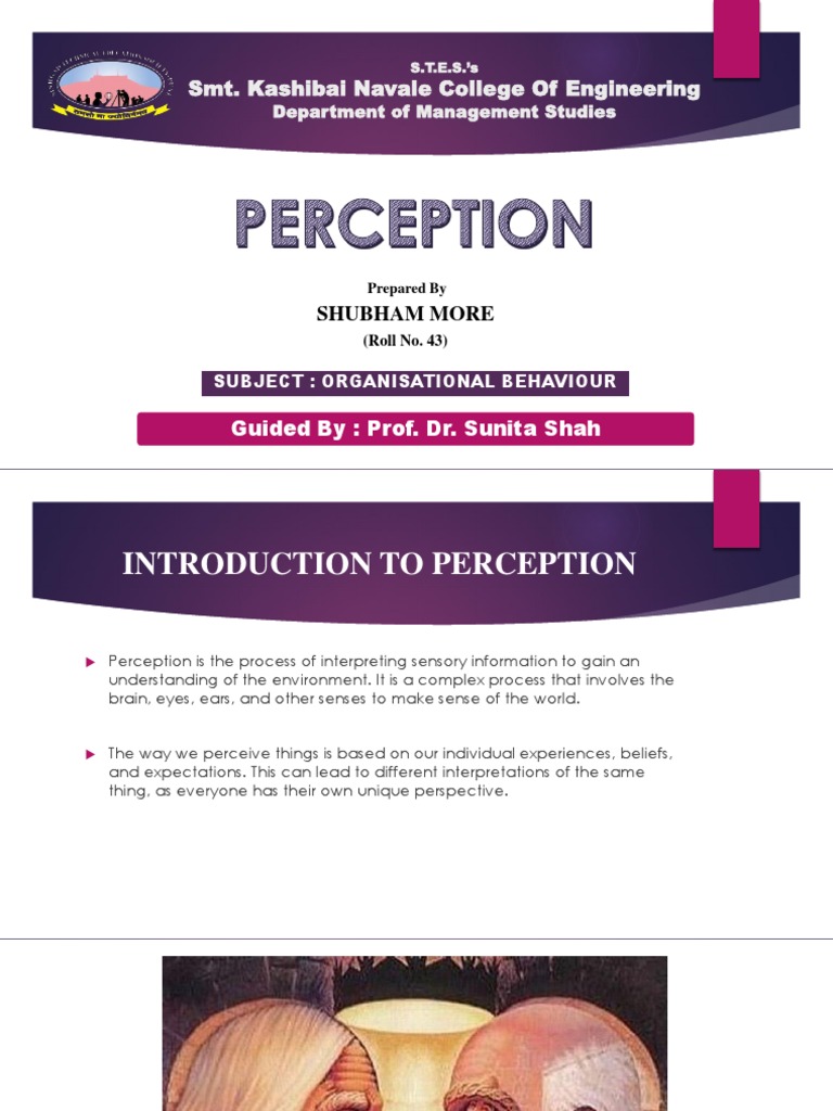 Perception - Organisational Behaviour | PDF | Perception | Behavior