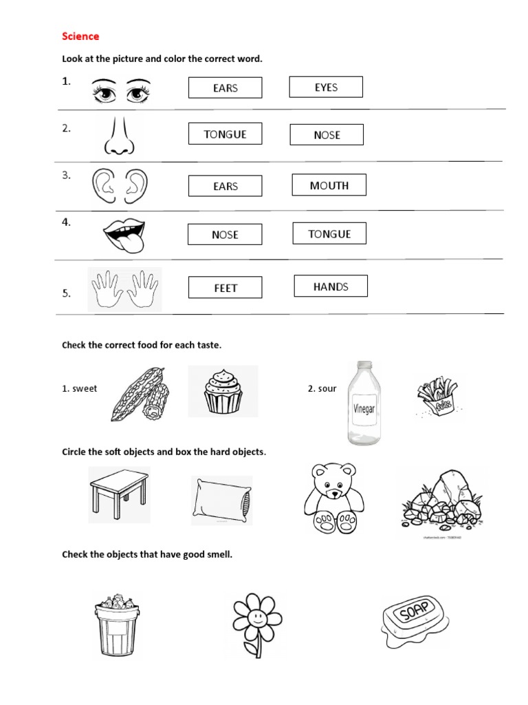 Review Test Pre-K | PDF