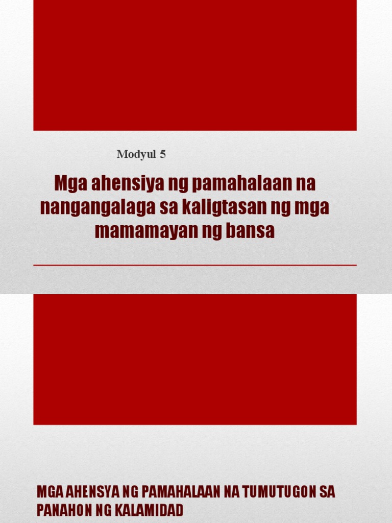 Modyul 5 Mga Ahensiya NG Pamahalaan Na Nangangalaga Sa Kaligtasan | PDF