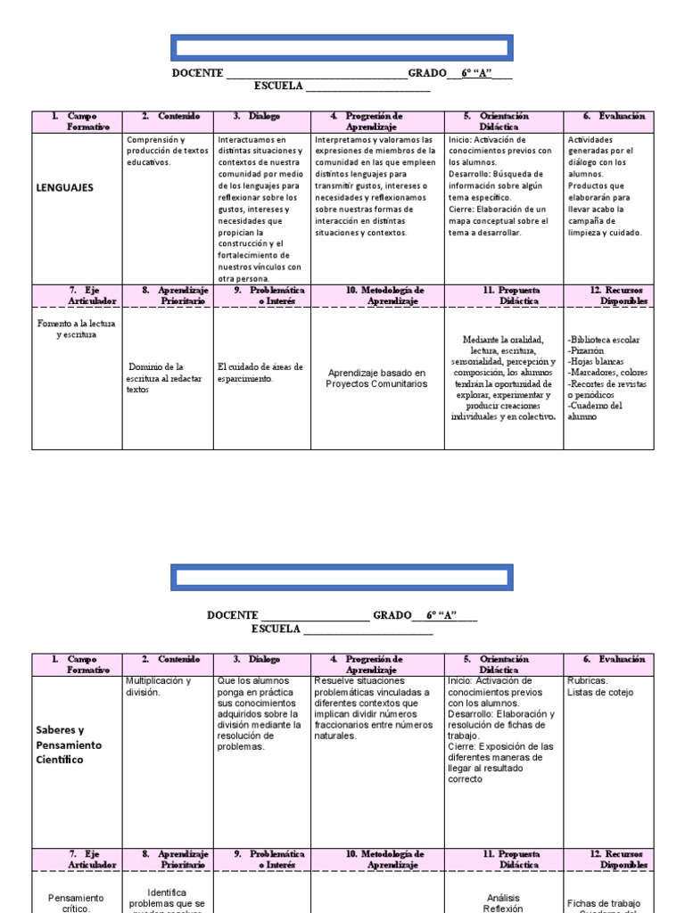 6 A Codiseño Del Programa Analitico Pdf Evaluación Aprendizaje