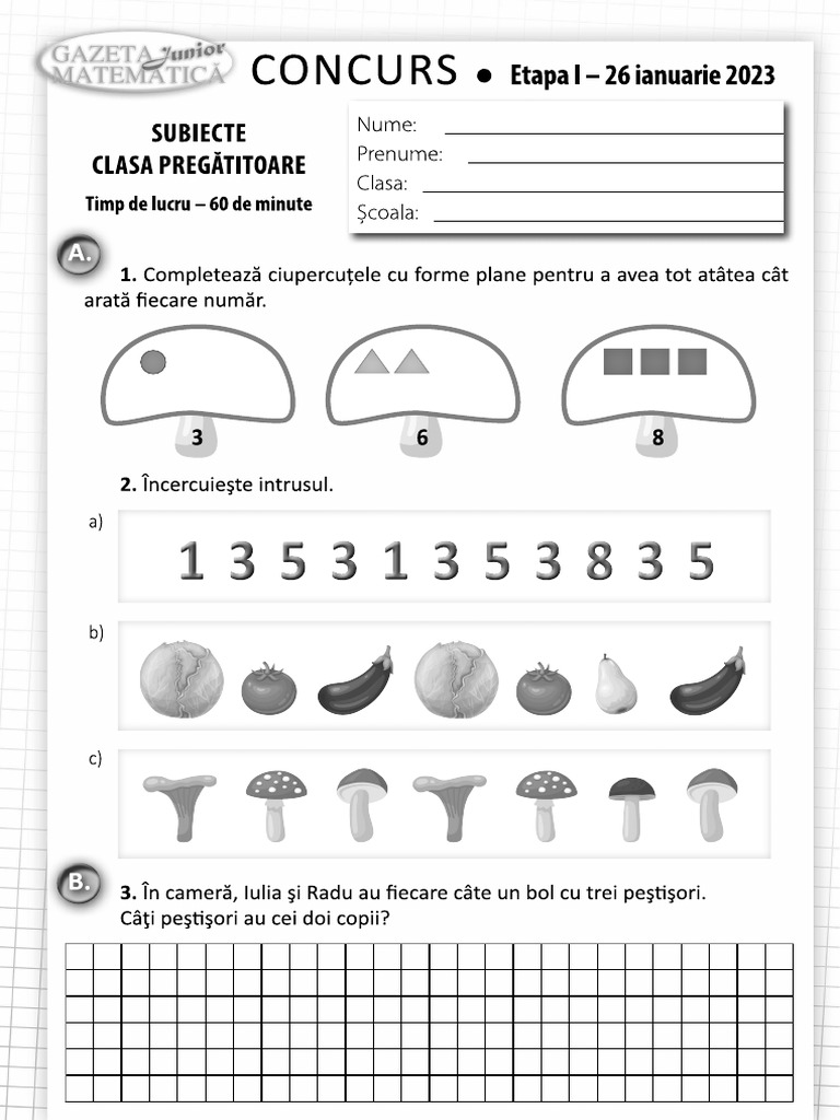 Subiecte Concurs GMJ Ianuarie 2023 CP | PDF