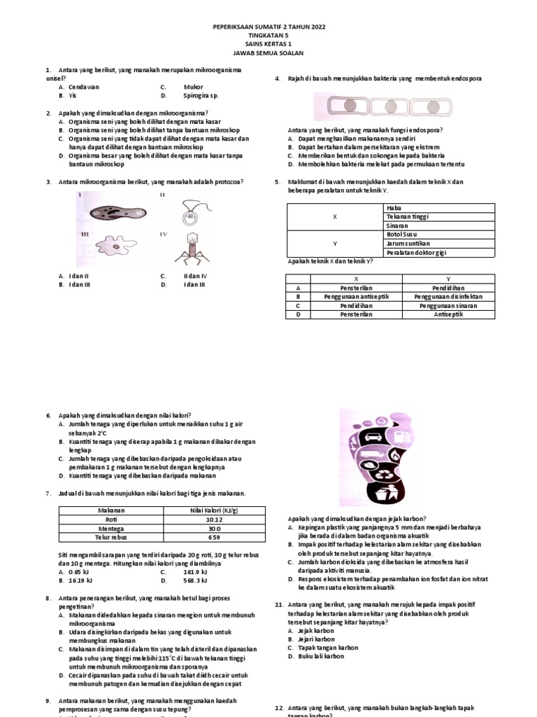 Sumatif 2 - sck1 2022 | PDF