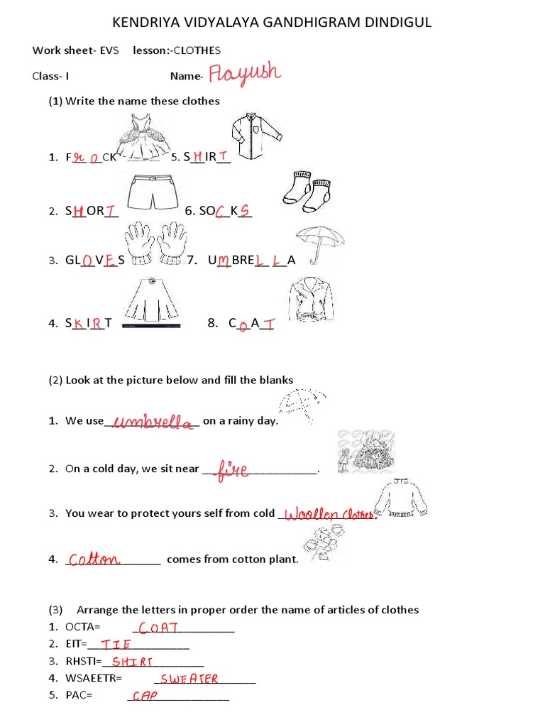 Class 1 EVS Worksheet: Clothes | PDF
