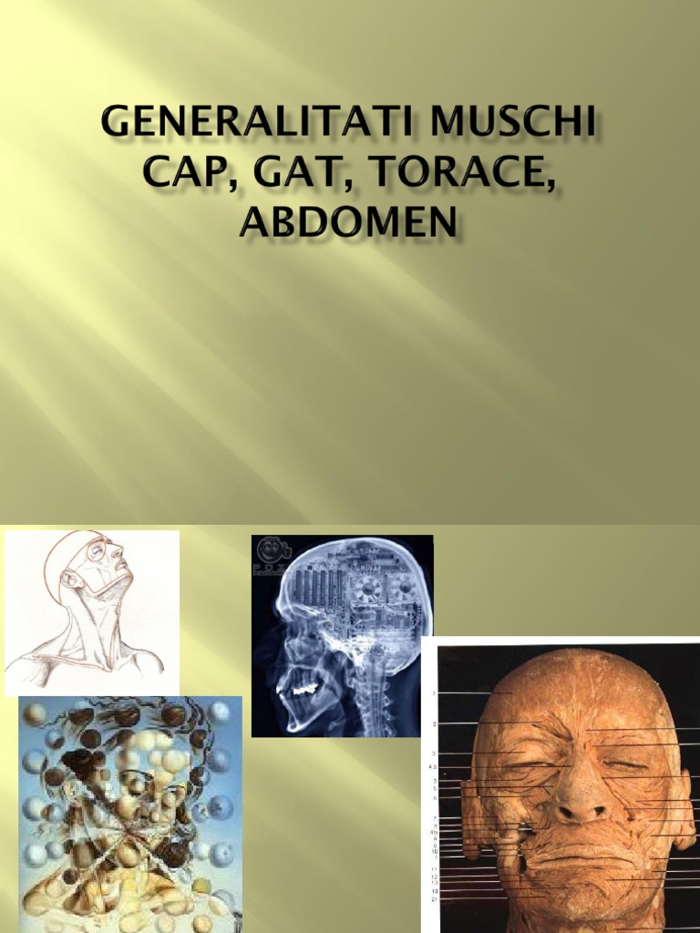 Muschii Cap Gat | PDF