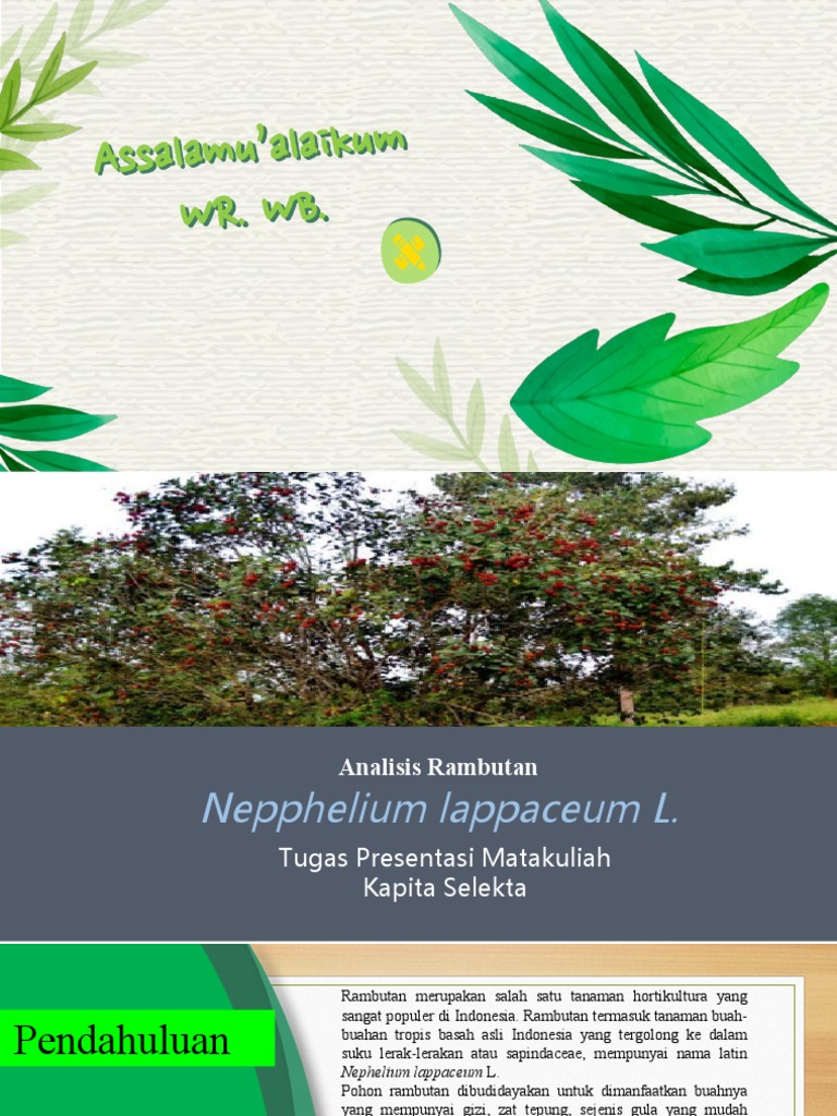 Kapita Selekta Rambutan | PDF