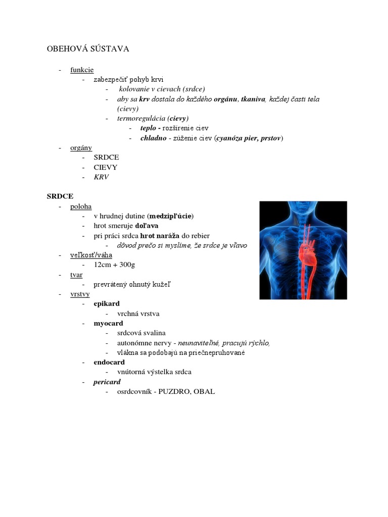 Obehová Sústava | PDF