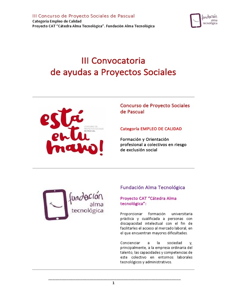 Proyectos Sociales. Proyecto CAT | PDF | Fundación (sin fines de lucro) | Invalidez
