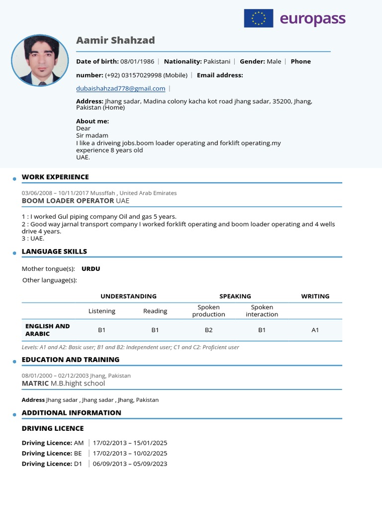 CV - Aamir Shahzad | PDF