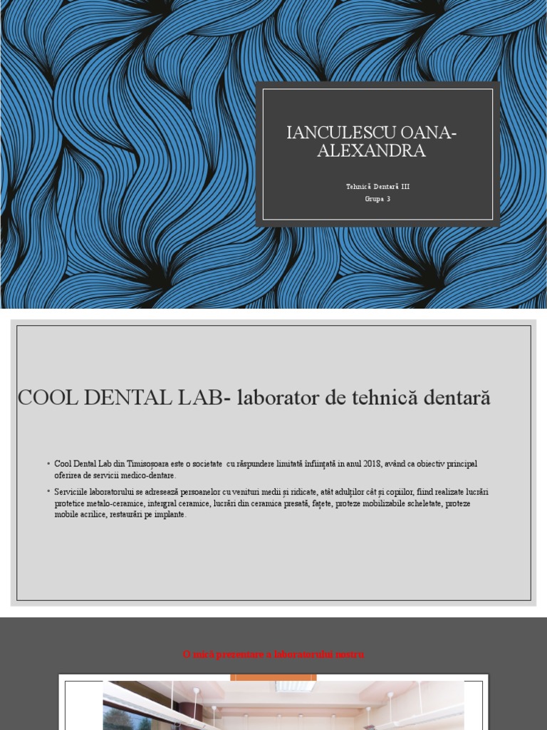 Ianculescu Oana Alexandra - Management | PDF