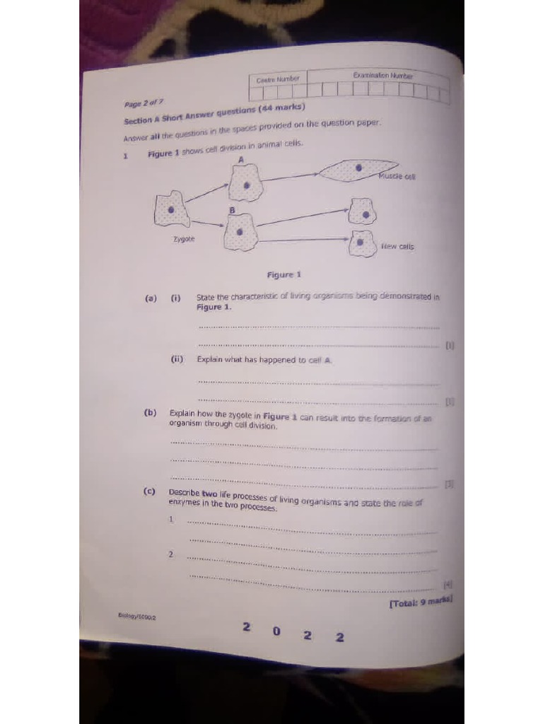 A1office - Biology Paper 2 2022 (Gce) | PDF