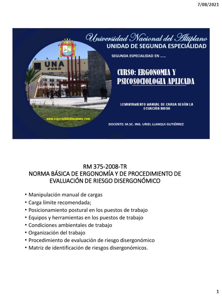 4 Levantamiento Manual de Cargas NIOSH | PDF | Tecnología e ingeniería