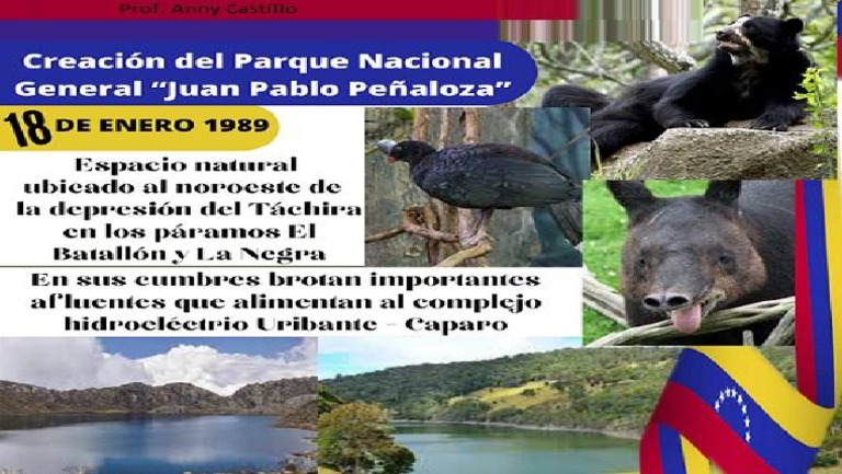 Parque Nacional General Pablo Peñaloza | PDF
