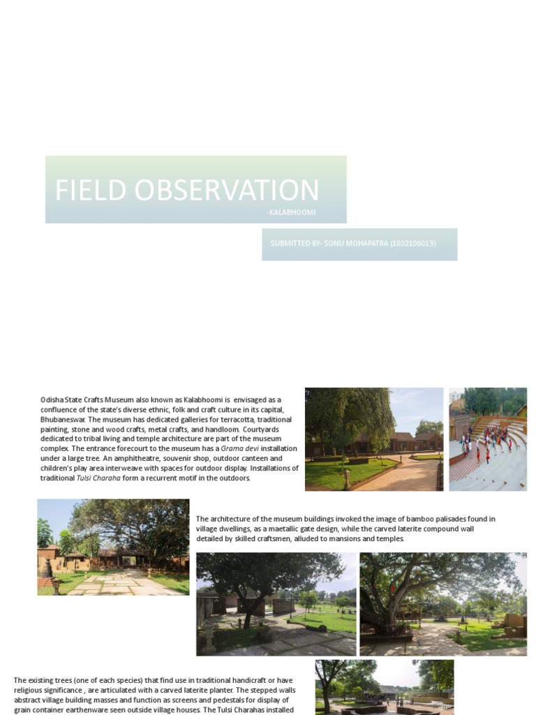 Field Observation | PDF