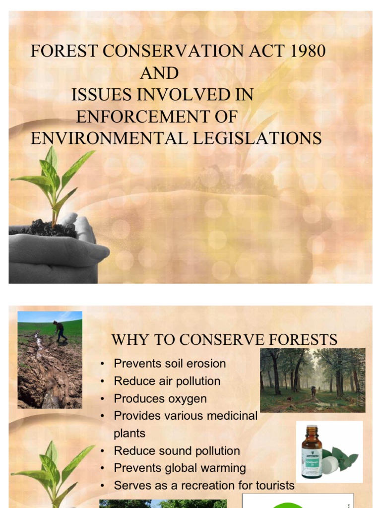 Forest Conservation Act 1980 | PDF
